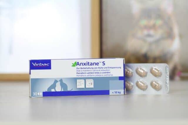Somnifre Pour Chat Sans Ordonnance